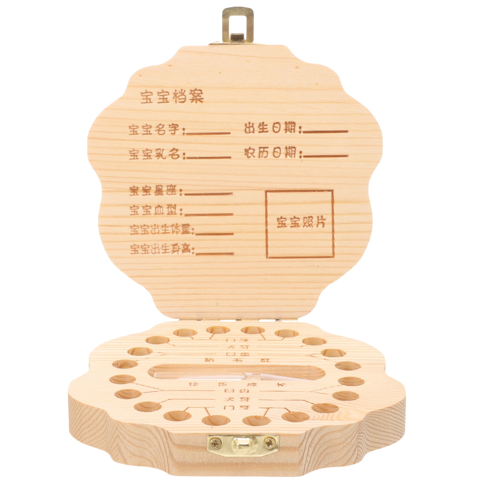 Container Tooth Boxes for Lost Teeth Kids Children Holder Children's ...