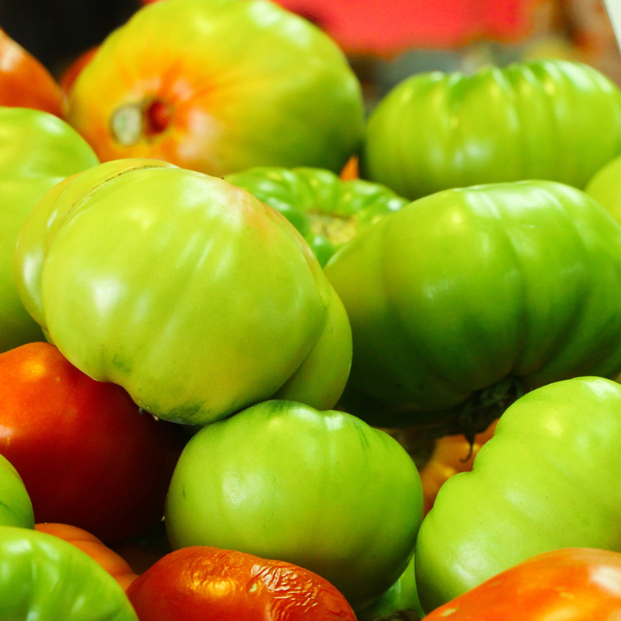 Containers Choice Green F1 Hybrid Tomato Seeds - 1 Lb ~108800 Seeds ...