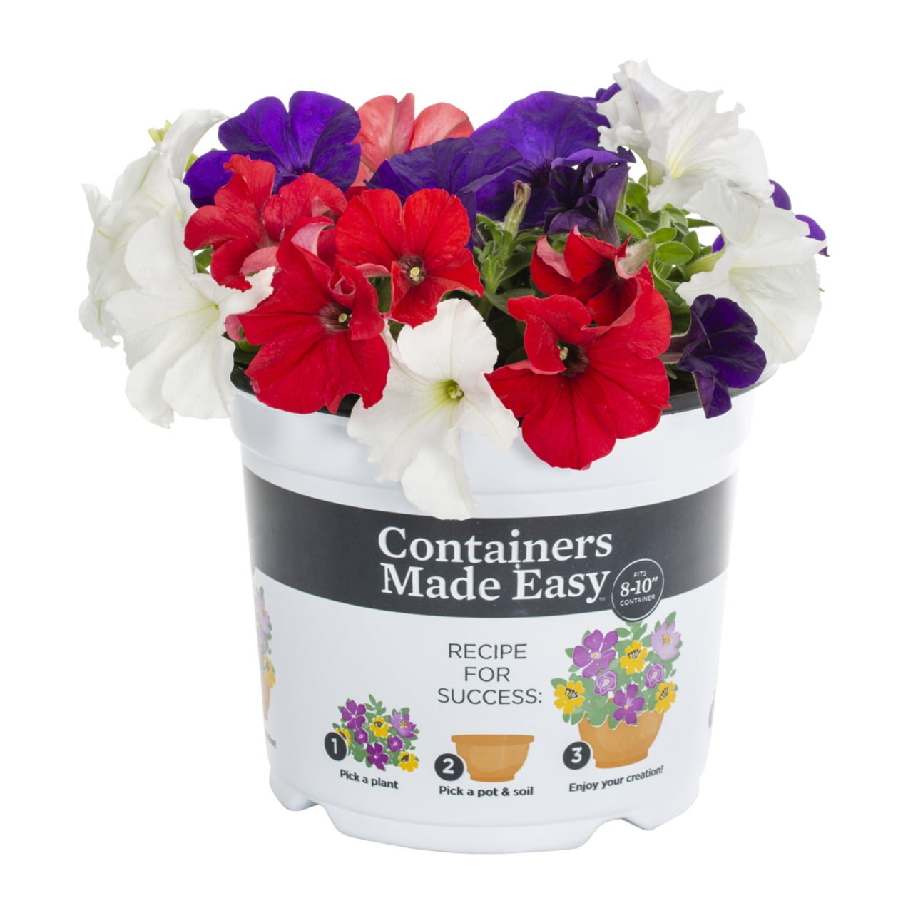 Containers Made Easy 3QT Red White Blue Petunias Annual Live Plant 2 ...