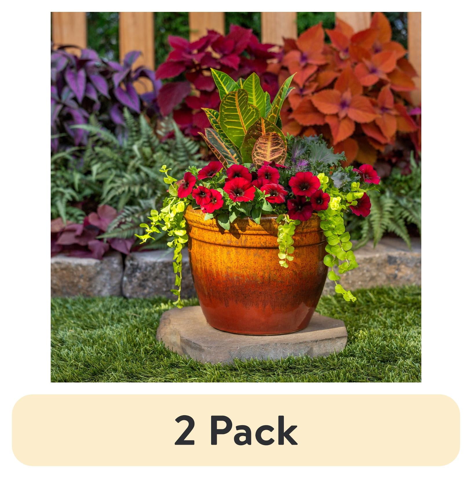 (2 pack) Containers Made Easy with Better Homes & Gardens 1.5 Gallon ...