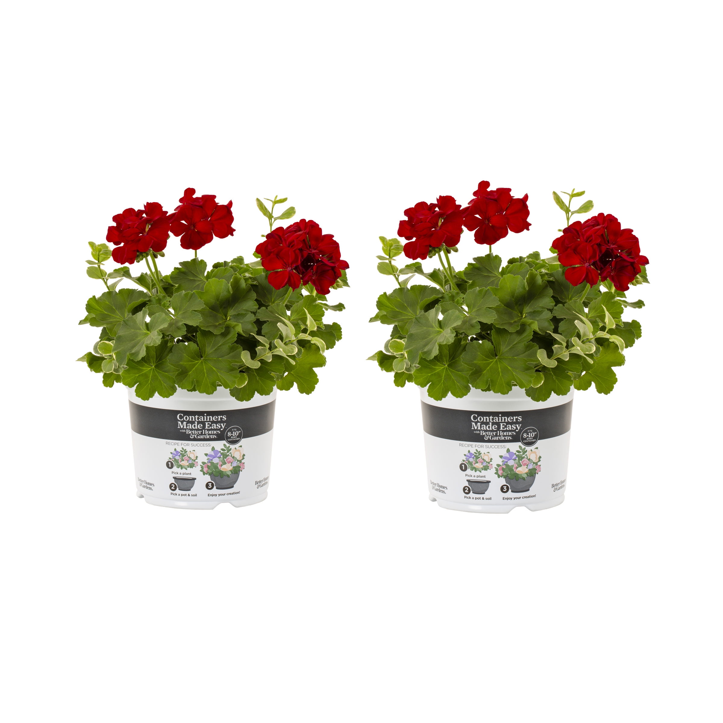 Containers Made Easy Better Homes & Gardens 3QT Red Geranium Vinca Live ...