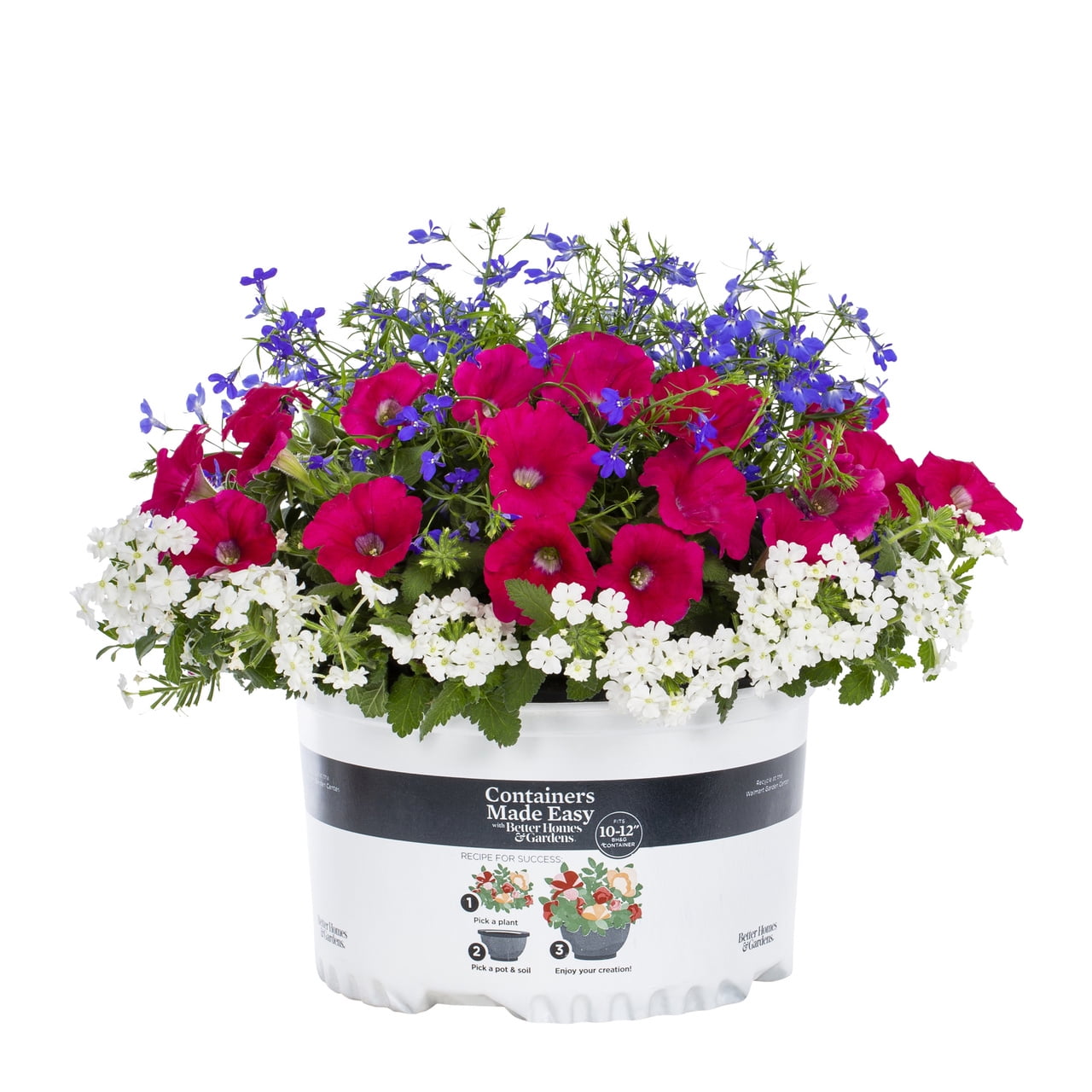 Better Homes & Gardens 1.5gal Multicolor Lobelia Petunia Verbena Live ...