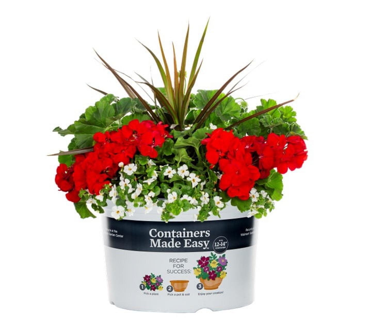 Containers Made Easy Better Homes & Gardens Geranium Bacopa Annual ...