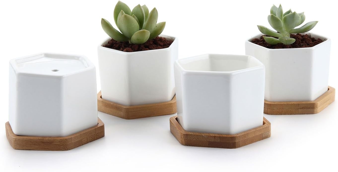 Contemporary Ceramic Pots Set Of 4, Mini Planters With Drainage ...