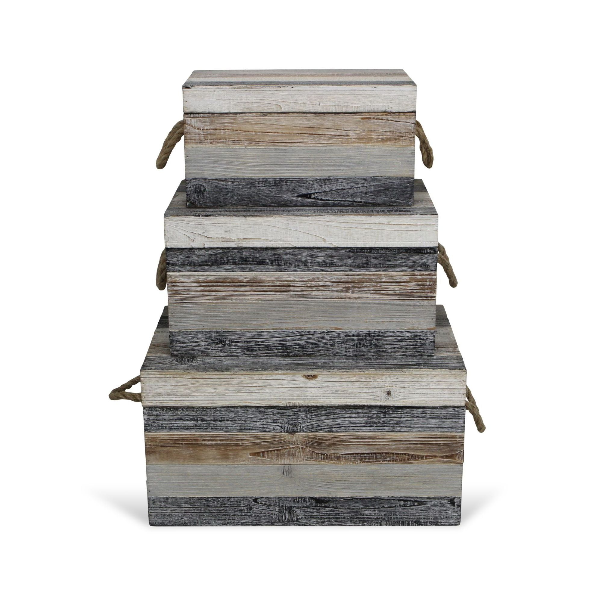 Contemporary Home Living Set of 3 Distressed Trunk Boxes with Rope ...