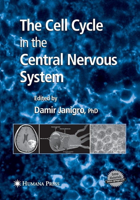 Contemporary Neuroscience The Cell Cycle in the Central Nervous System ...