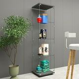 Contemporary Single Door Tall Display Cabinet for Collectibles, Floor ...