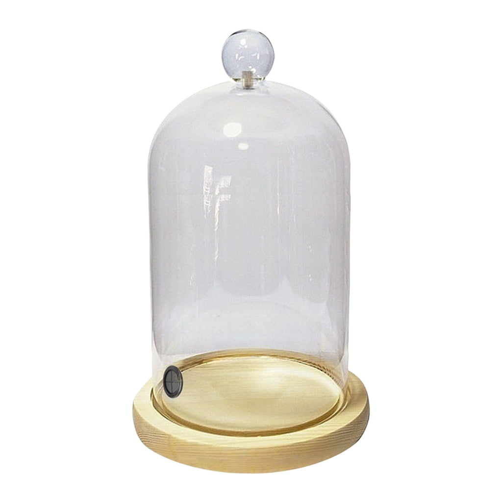 Contemporary Smoker Chamber For Mixing Display Modern Dining Aesthetic ...