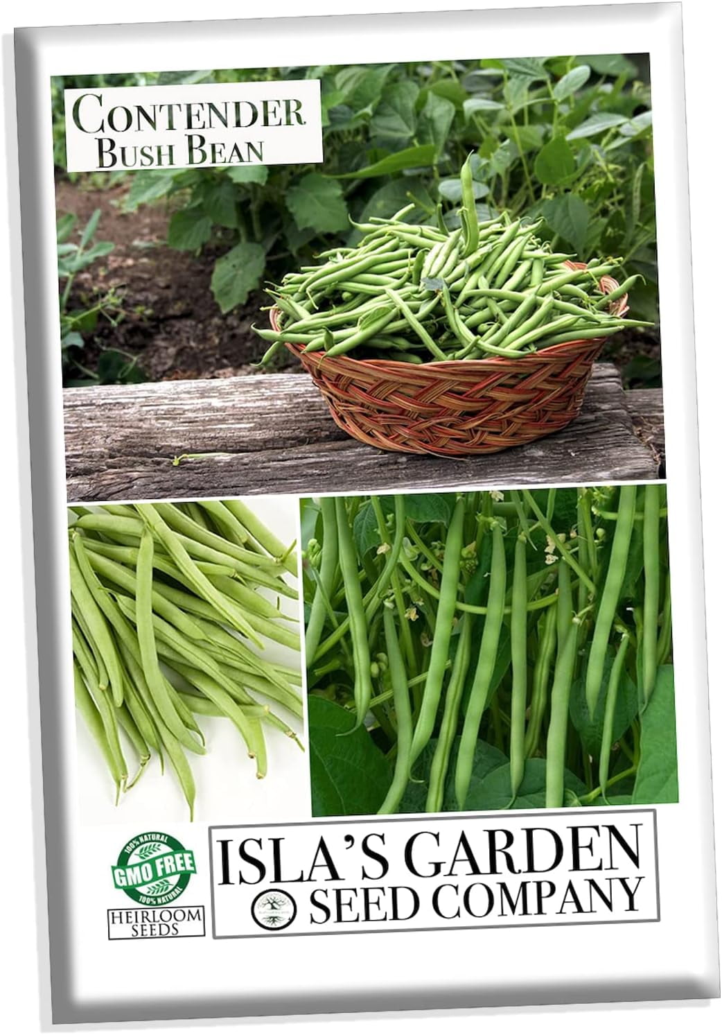Contender Bush Bean Seeds, 50 Heirloom Seeds Per Packet, Non GMO Seeds ...
