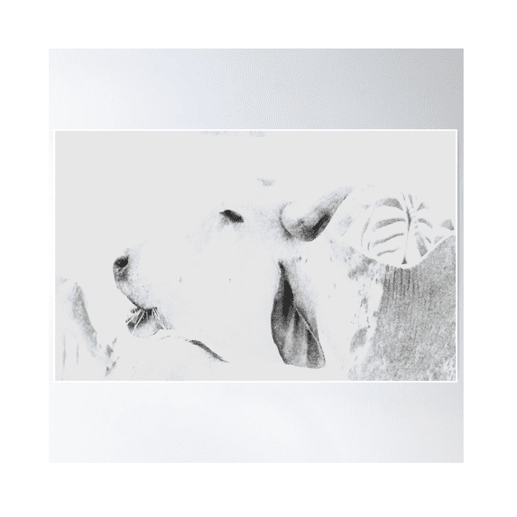 Contented Poster Wall Art Modern Wall Decor For Living Room Bedroom ...
