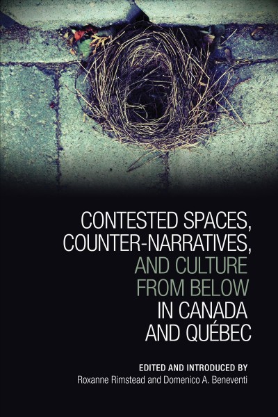 Pre-Owned Contested Spaces, Counter-narratives, and Culture from Below ...