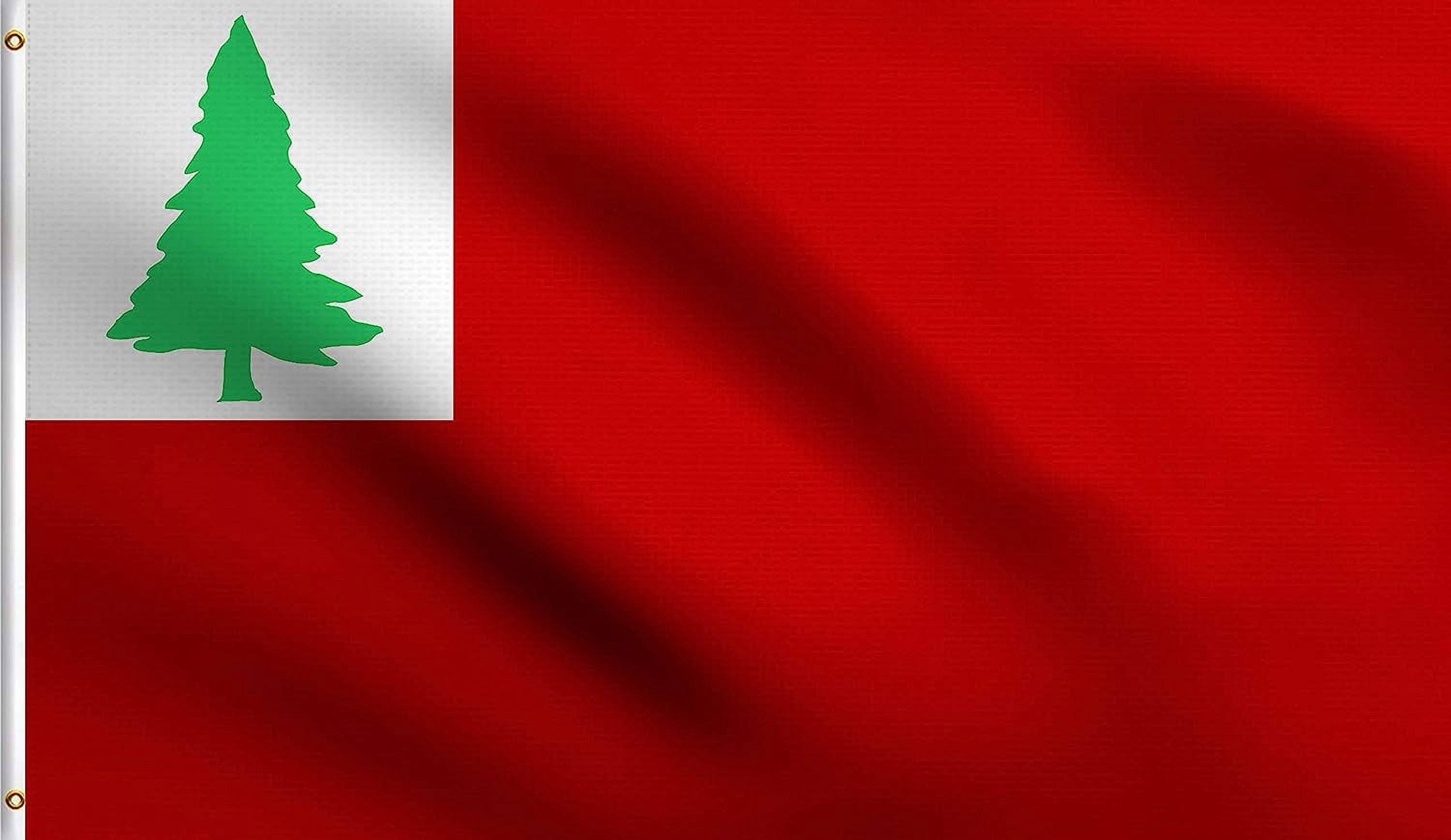 Continental Battle of Bunker Hill Revolutionary War 1775 Red Flag, 3Ply ...