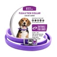 8 Month Prevention Dog Flea and Tick Repellent Pendant Natural ...
