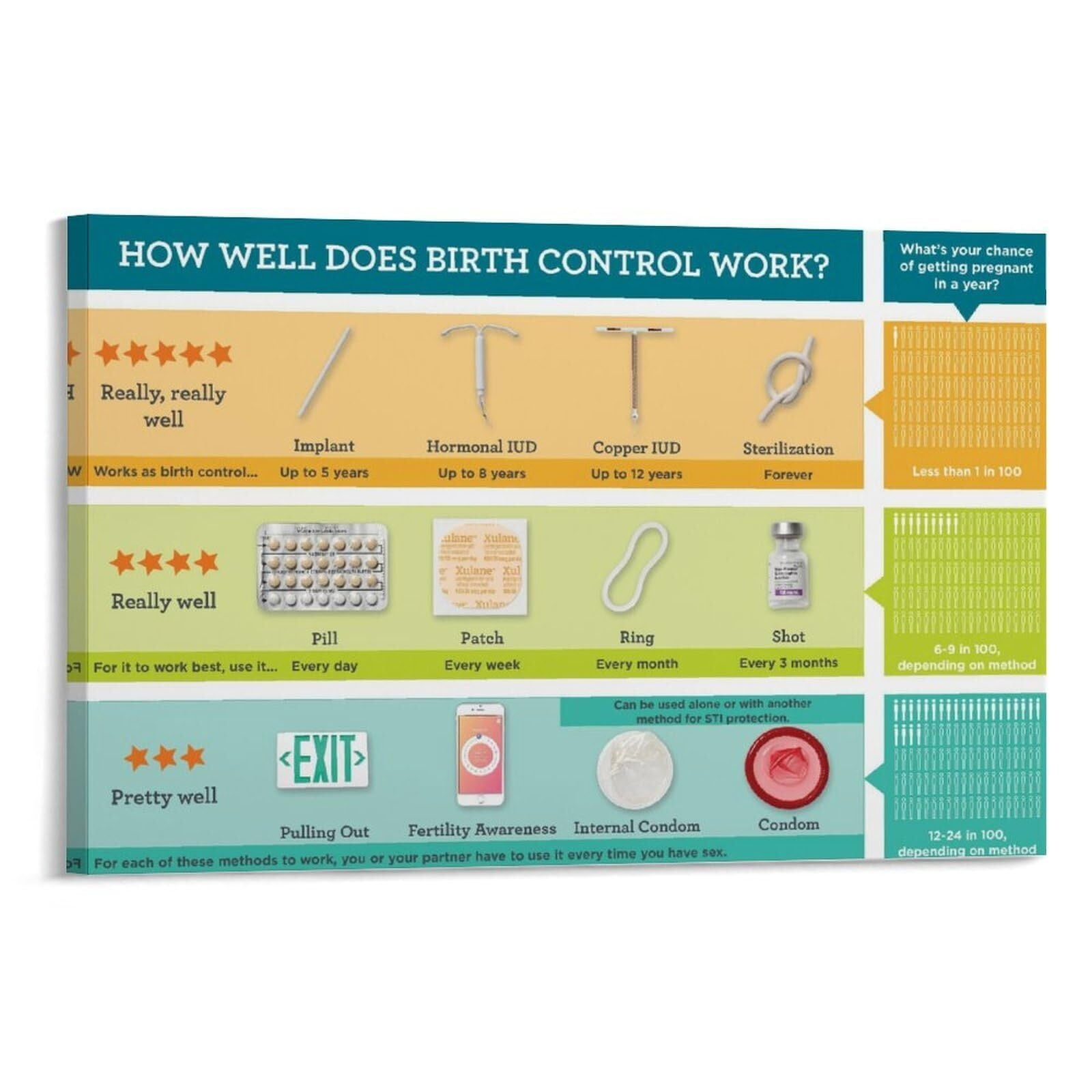 Contraception And Birth Control Guide Science Knowledge Graphic Poster ...