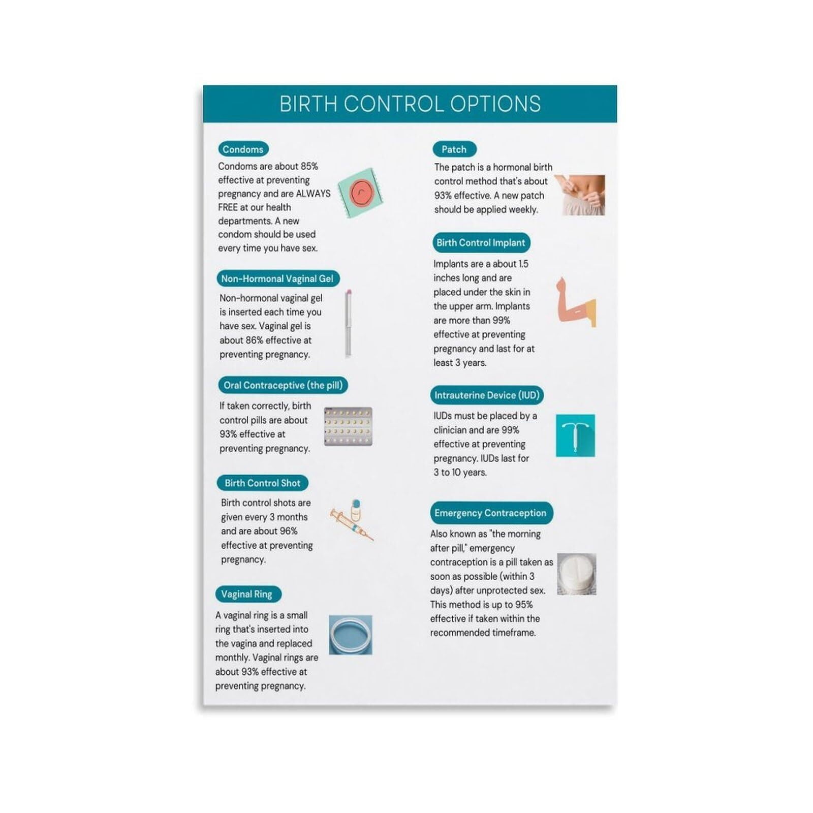 Contraception And Birth Control Guide Science Knowledge Graphic Poster ...