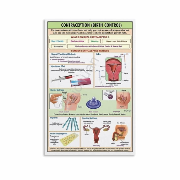 Contraception Birth Control Infographic Poster (10) Canvas Painting ...