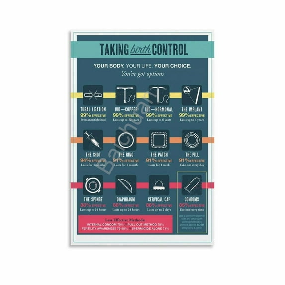Contraception Birth Control Infographic Poster (14) Canvas Painting ...