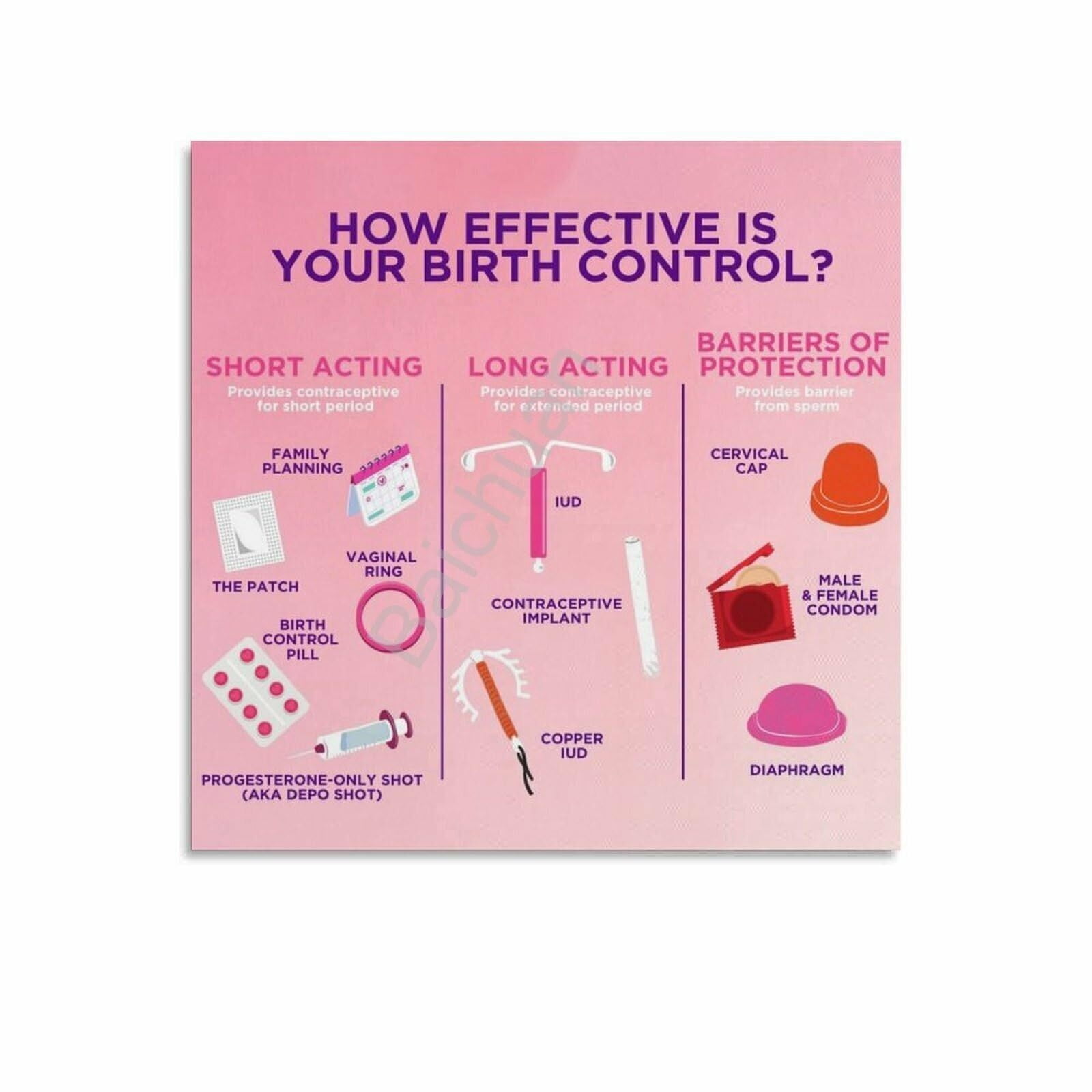 Contraception Birth Control Infographic Poster (3) Canvas Painting Wall ...