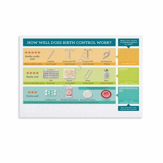 Contraception Birth Control Infographic Poster (5) Canvas Painting Wall ...