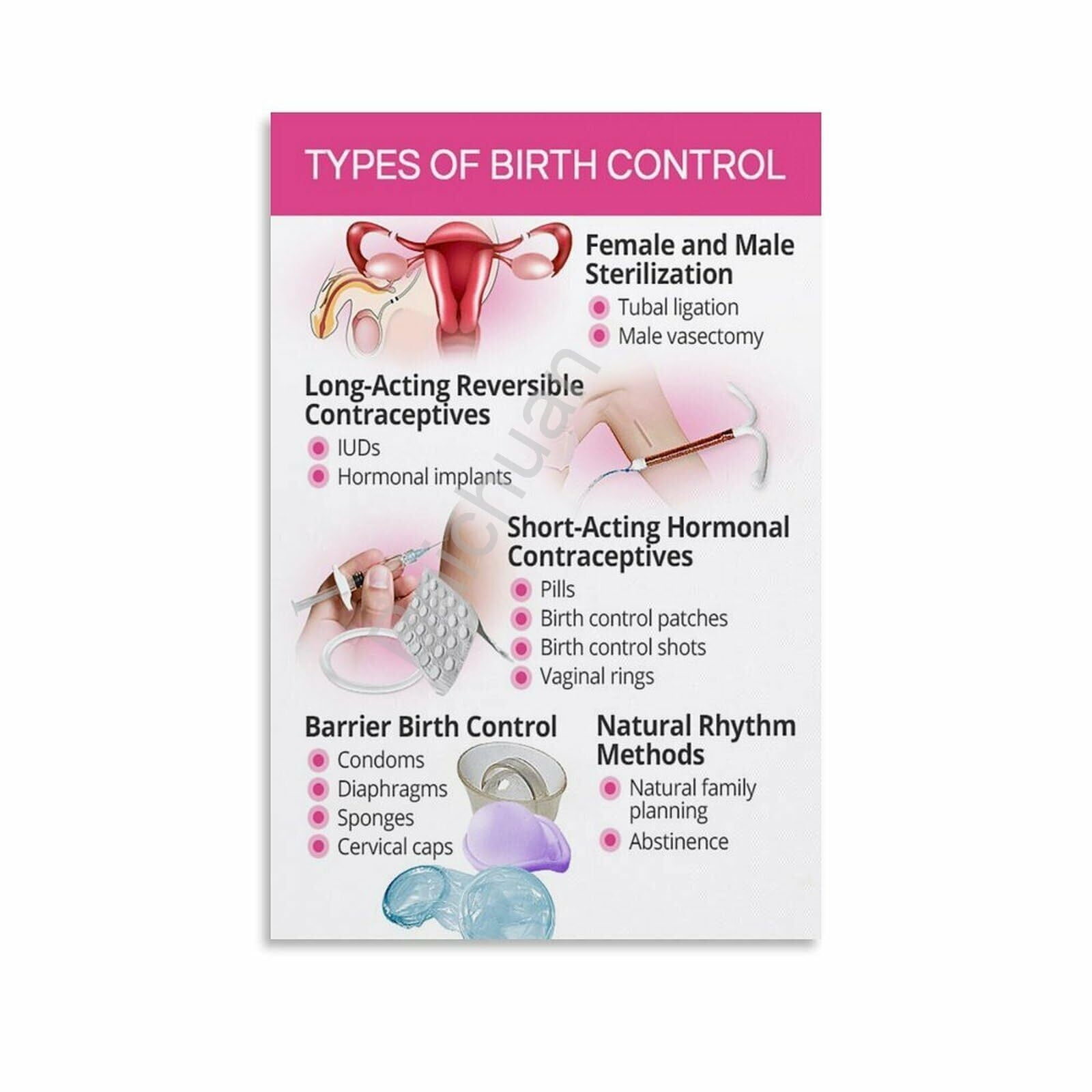 Contraception Birth Control Infographic Poster (9) Canvas Painting ...