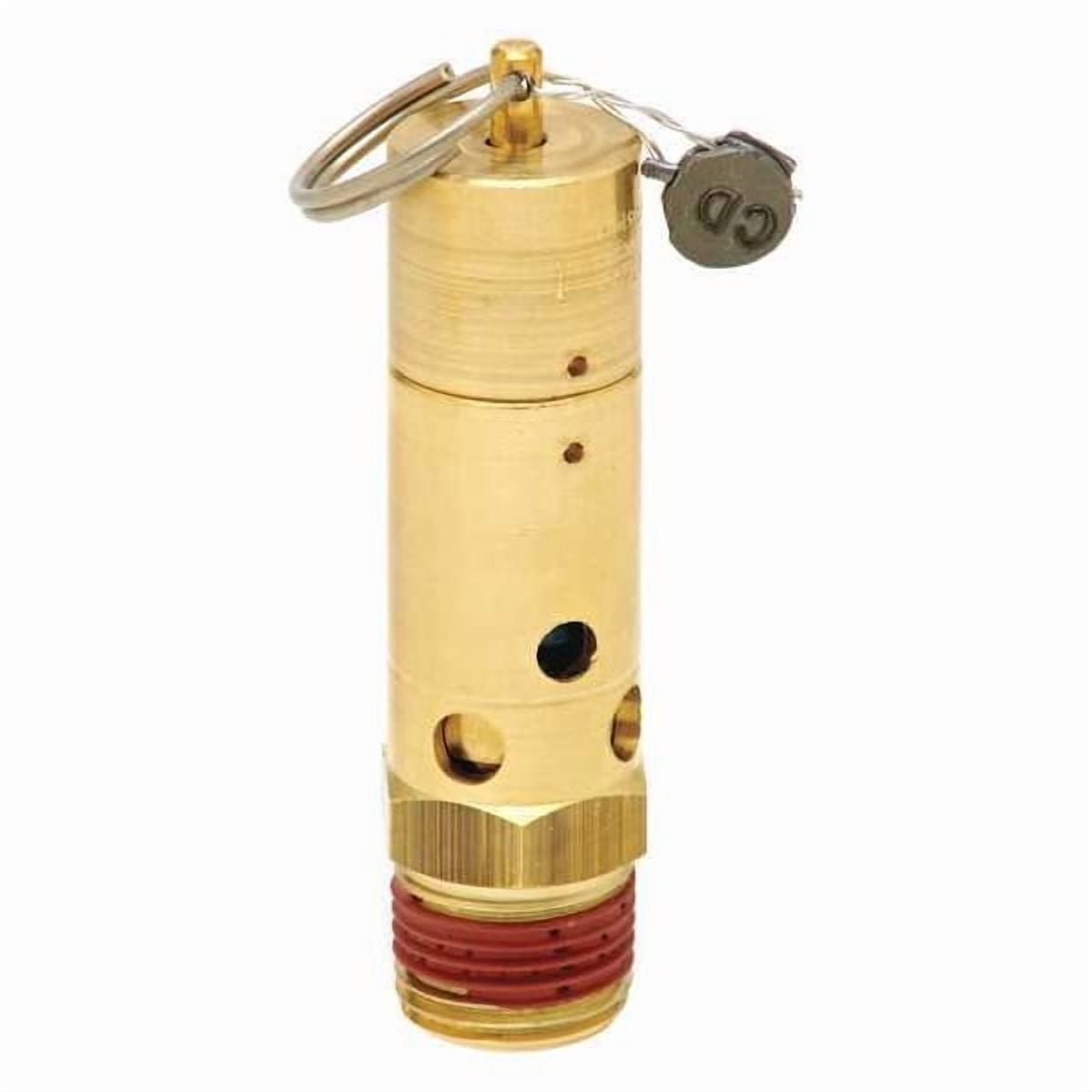 Control Devices Air Safety Valve,1/2" Inlet, 100 psi SN50-1A100 ...