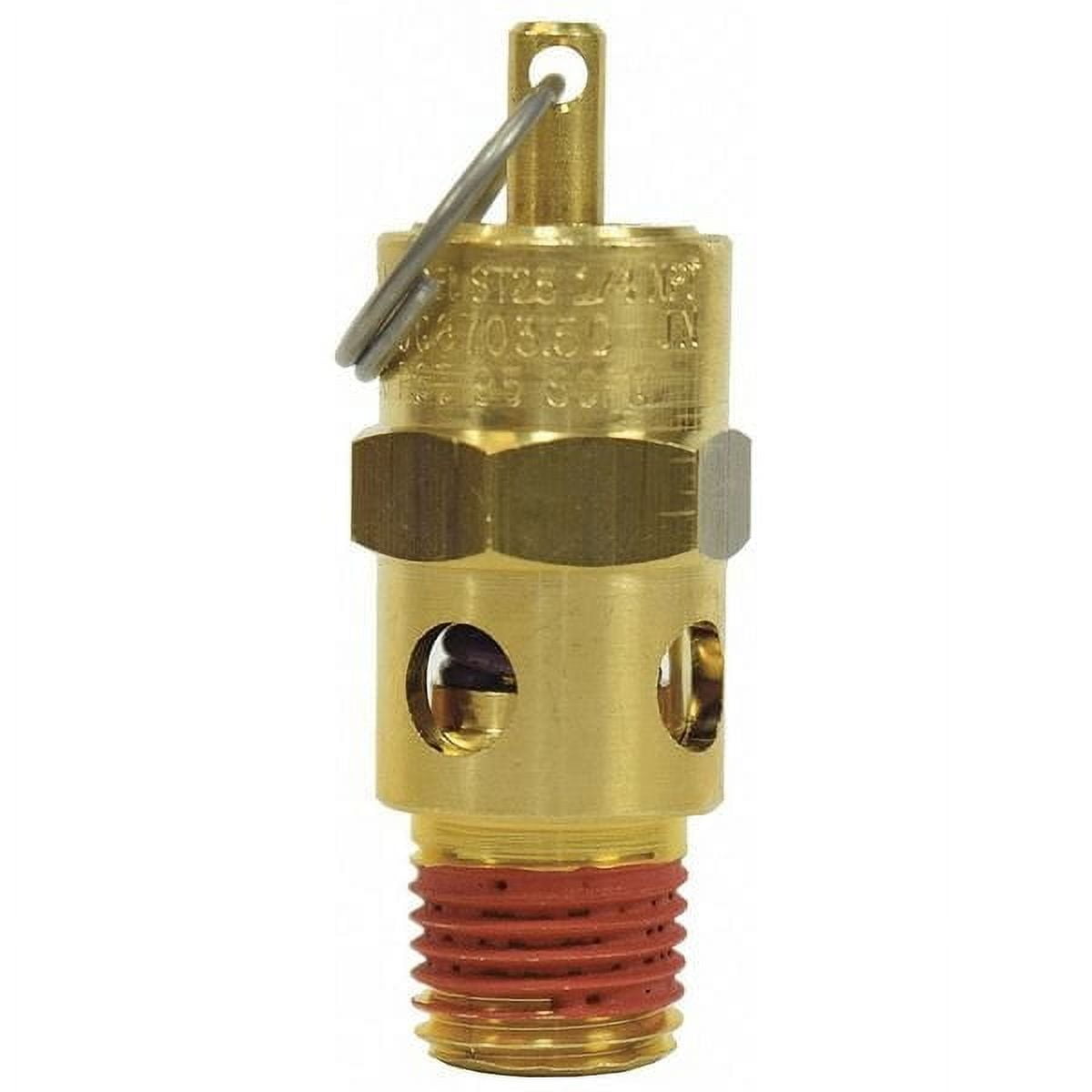 Control Devices Air Safety Valve,1/4" NPT Inlet,30 psi ST25-1A030 ...