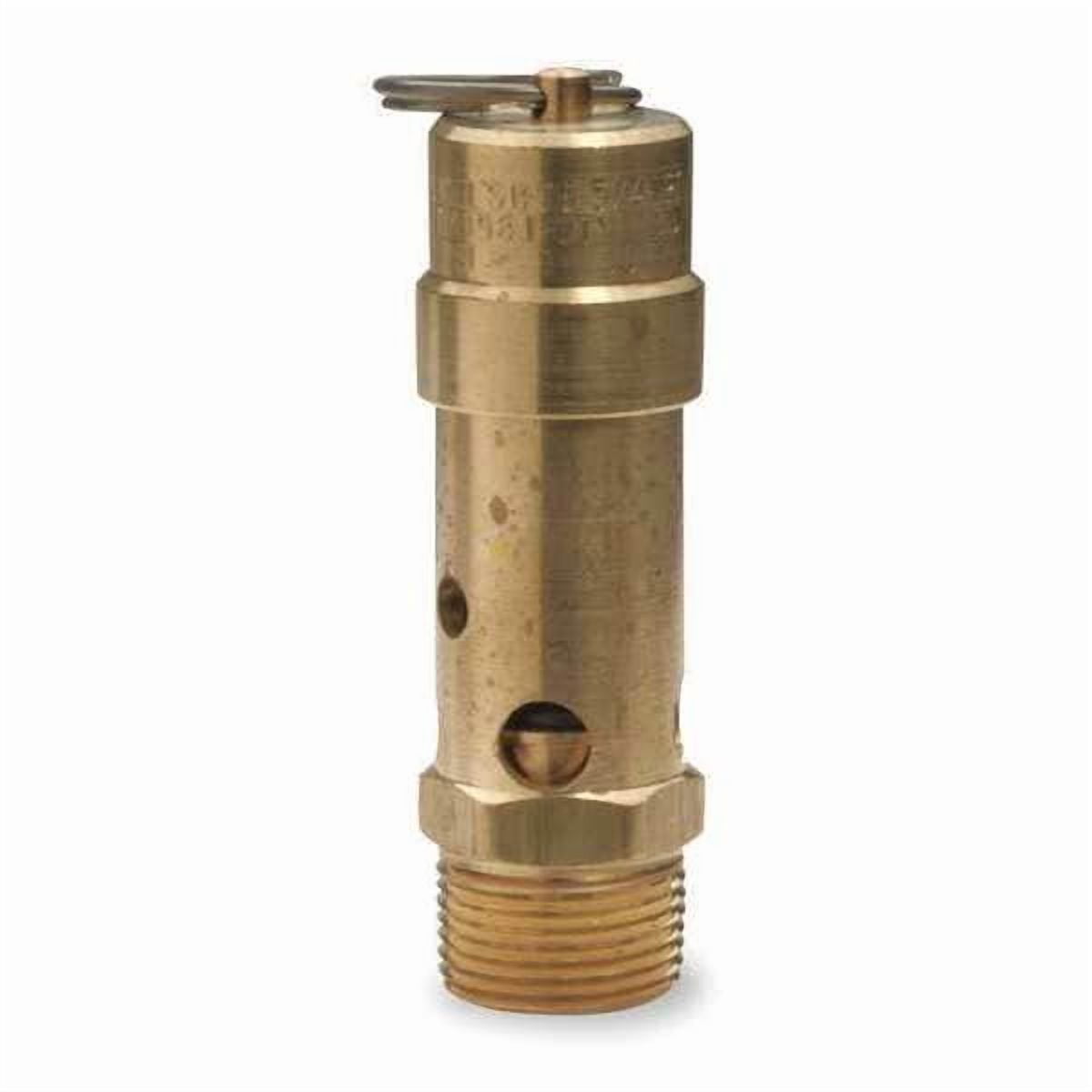 Control Devices Air Safety Valve,1" Inlet, 125 psi SW10-0A125 - Walmart.com