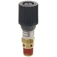 Control Devices CR Series Brass Pressure Relief Valve, 0-100 psi ...