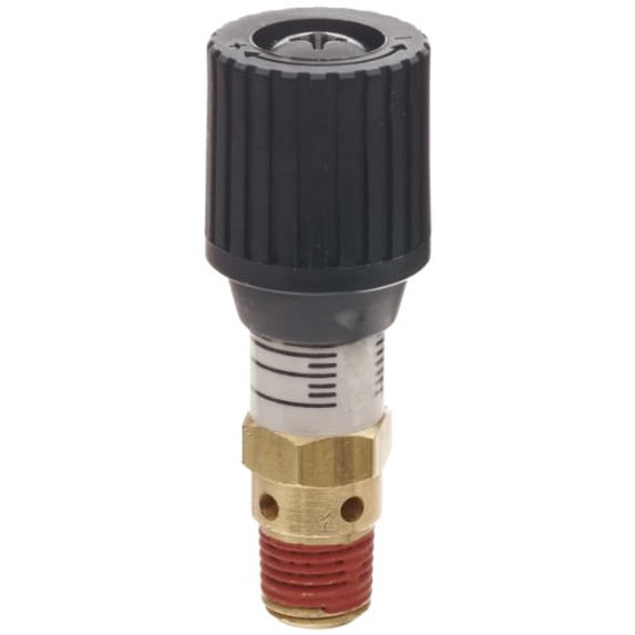 Control Devices CR Series Brass Pressure Relief Valve, 0-100 psi ...