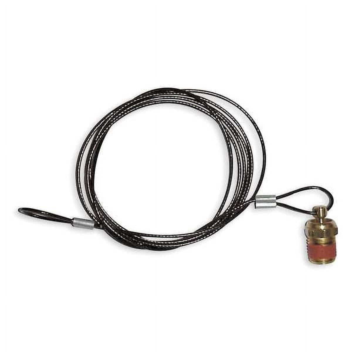 Control Devices - DP25-1A060 Brass Cable Operated Drain Valve, 1/4 ...