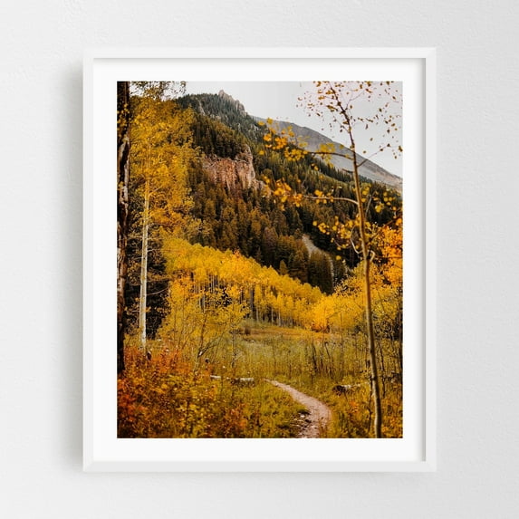 Conundrum Creek Trail - Aspen Colorado Photography Autumn Landscape ...