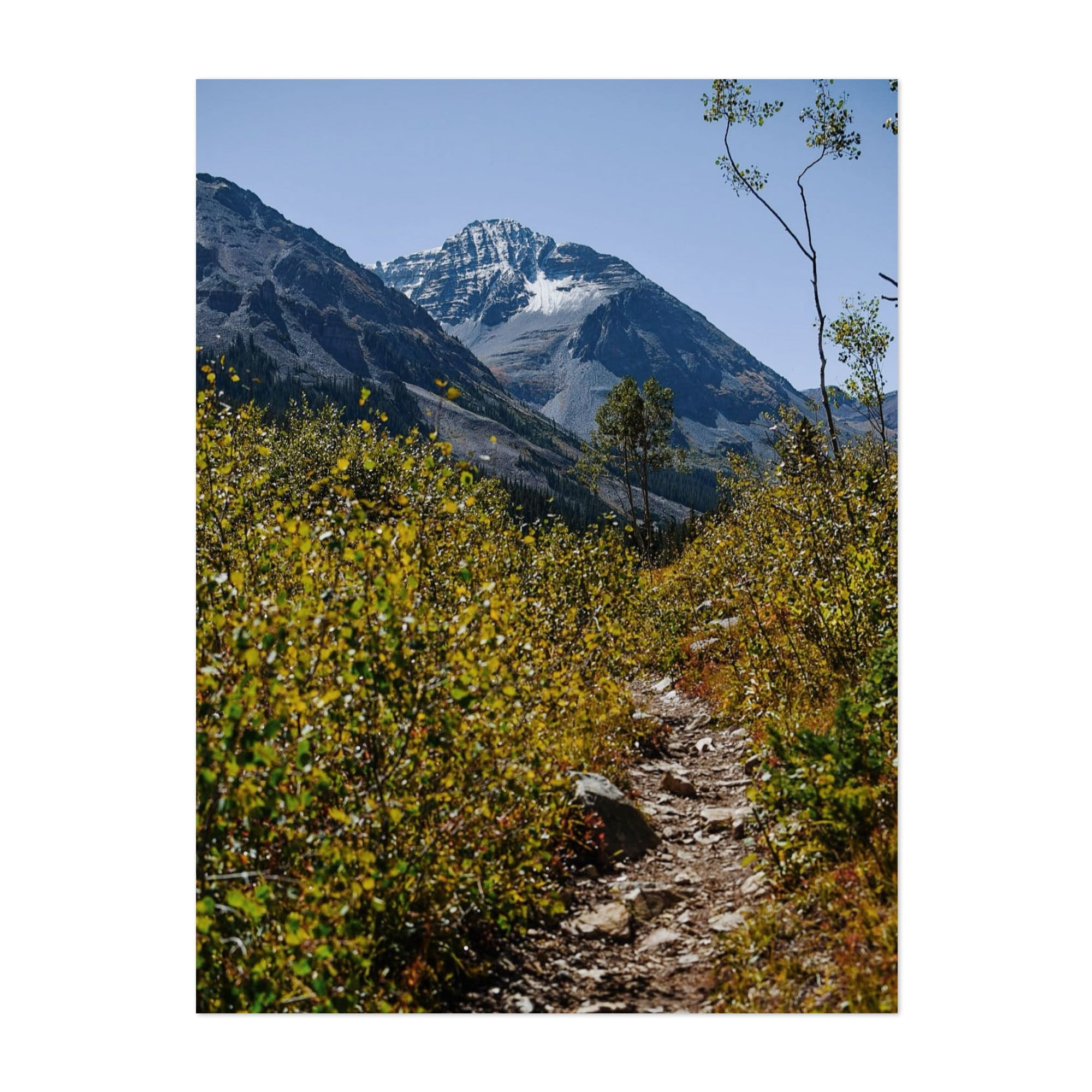 Conundrum Creek Trail - Aspen Colorado Photography Mountain Nature ...