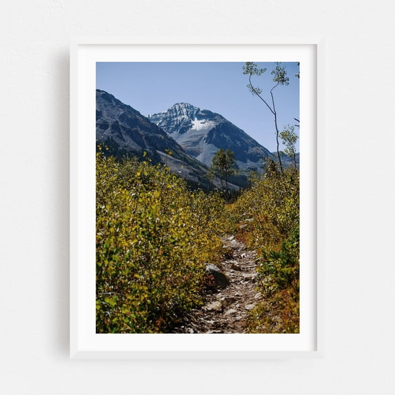Conundrum Creek Trail - Aspen Colorado Photography Mountain Nature ...