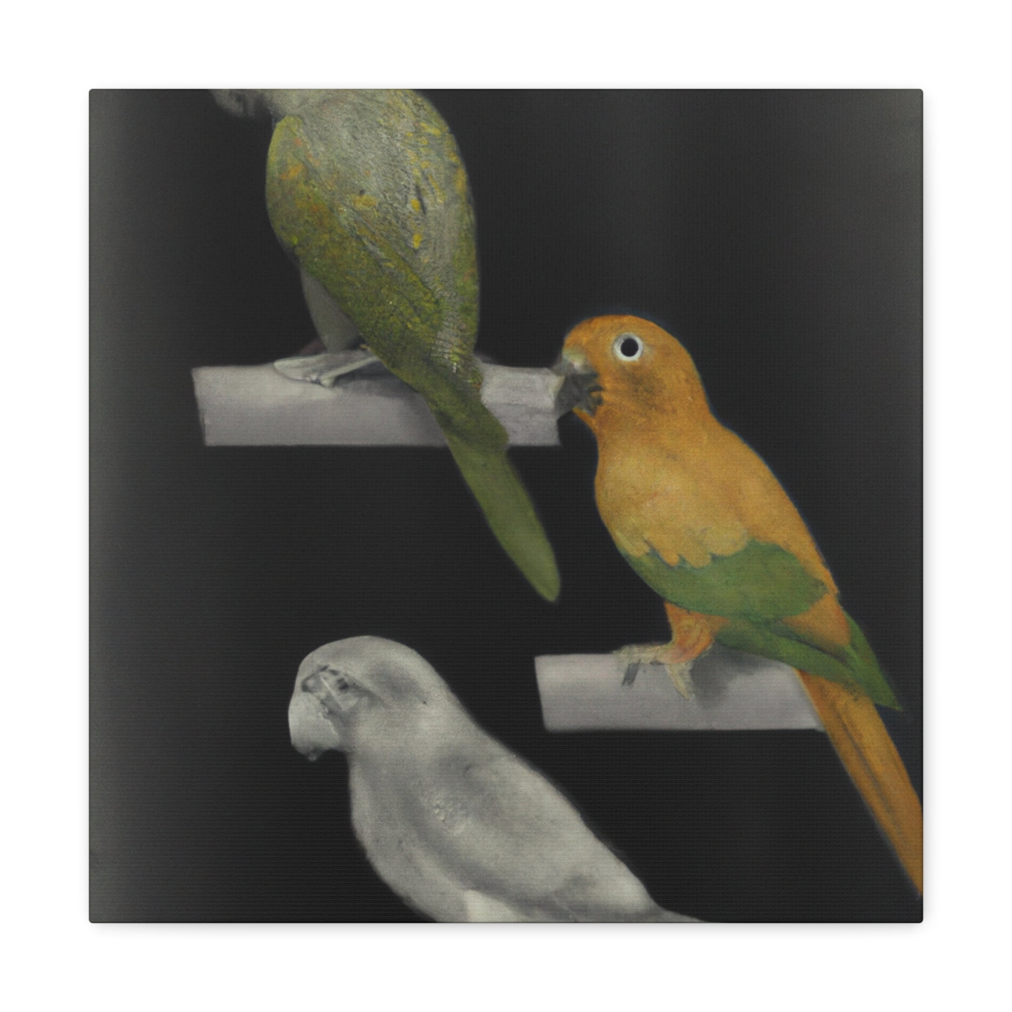 Conure Neoclassicism - Canvas - Walmart.com