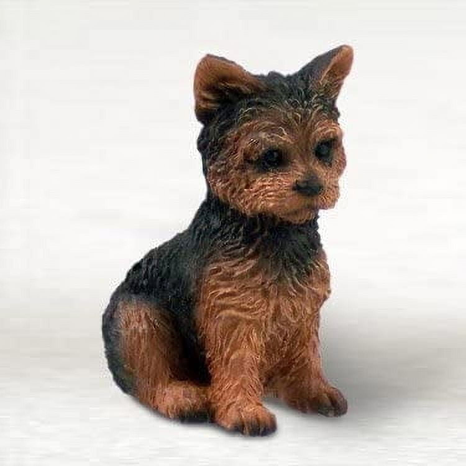 Conversation Concepts Miniature Yorkshire Terrier Puppy Cut Tiny One ...
