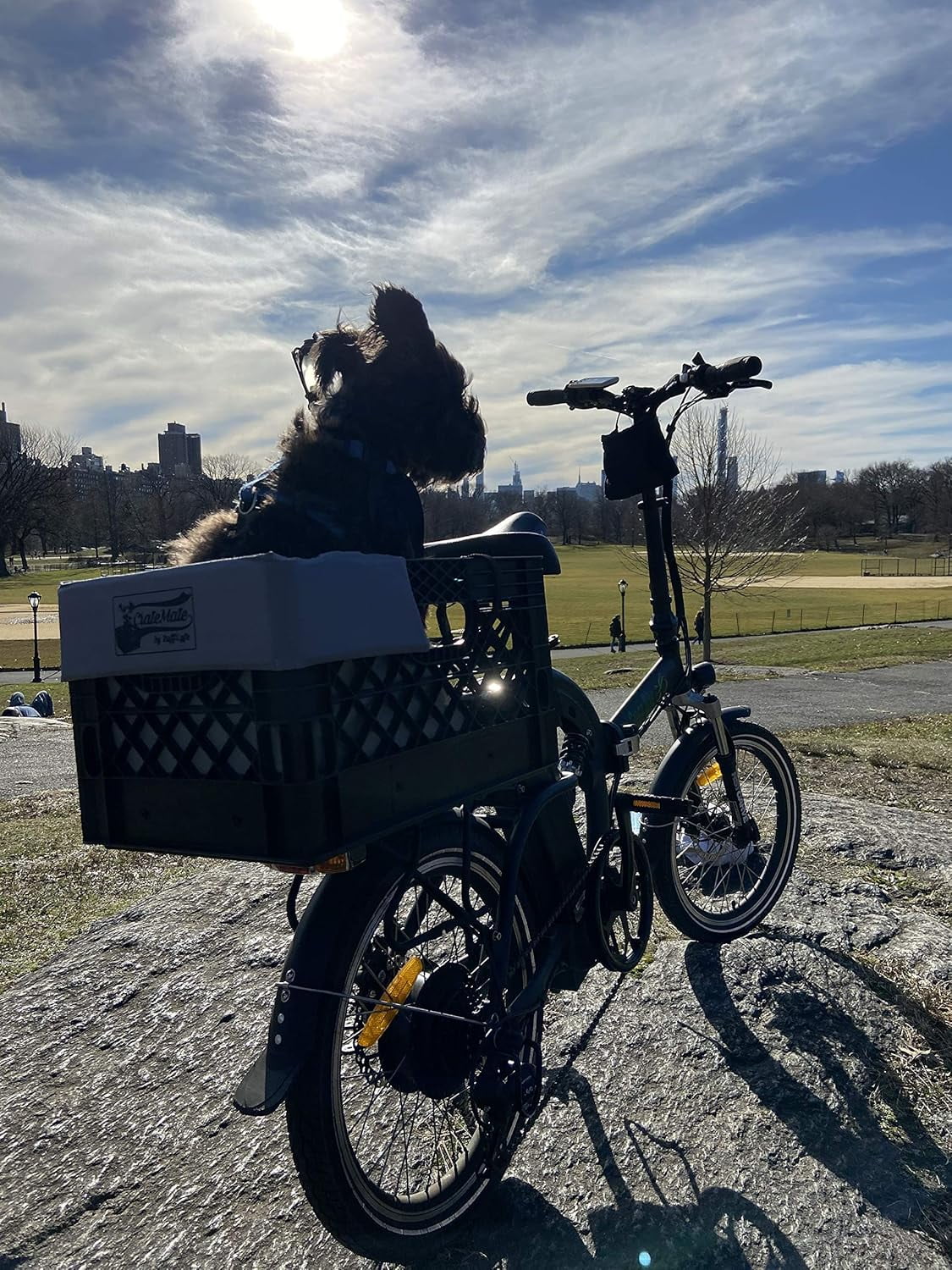 Conversion/Bike Dog Carrier Package (Crate NOT Included) Padded Liner ...