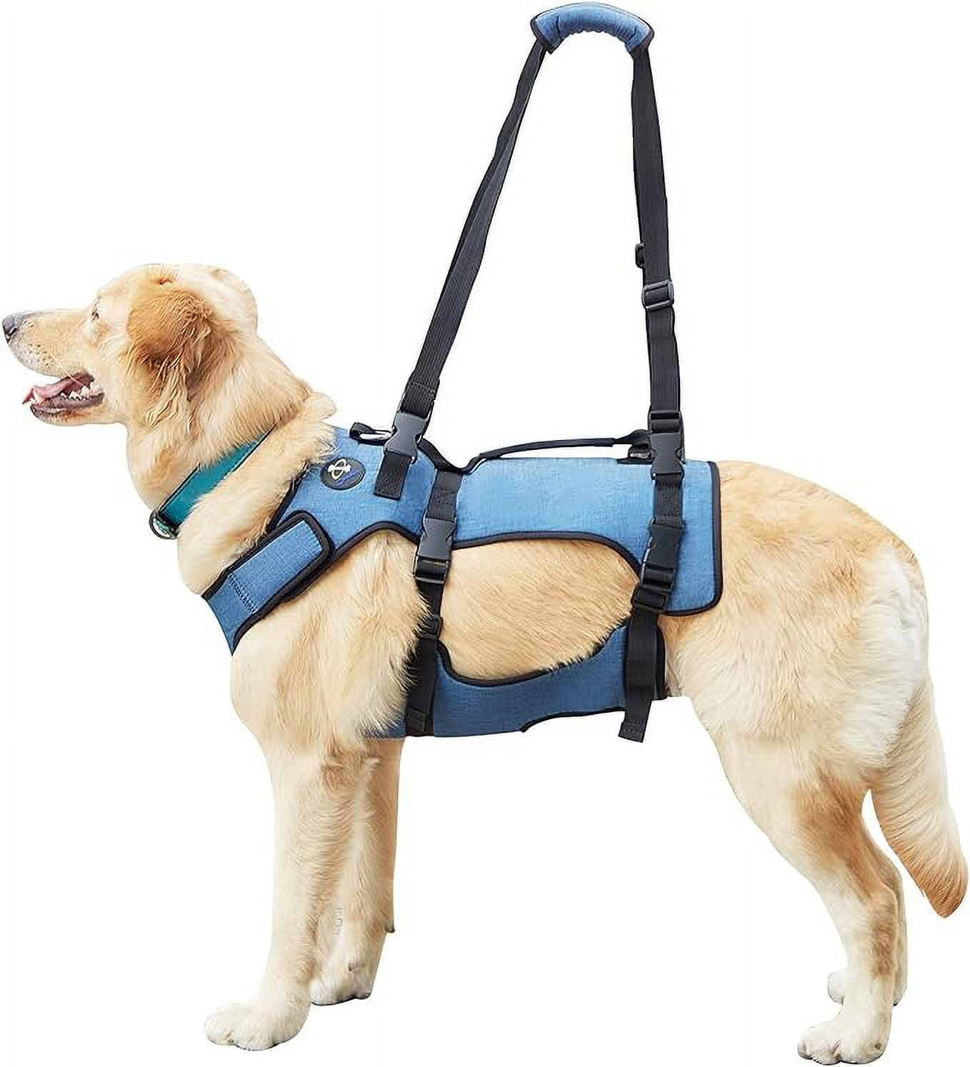 Coodeo Dog Lift Harness, Support & Recovery Sling, Pet Rehabilitation ...