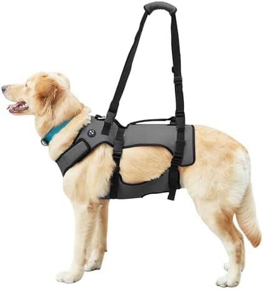 Coodeo Dog Lift Harness, Support & Recovery Sling, Pet Rehabilitation ...