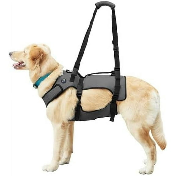 Dog Lift Harness, Pet Support & Rehabilitation Sling Lift Adjustable ...
