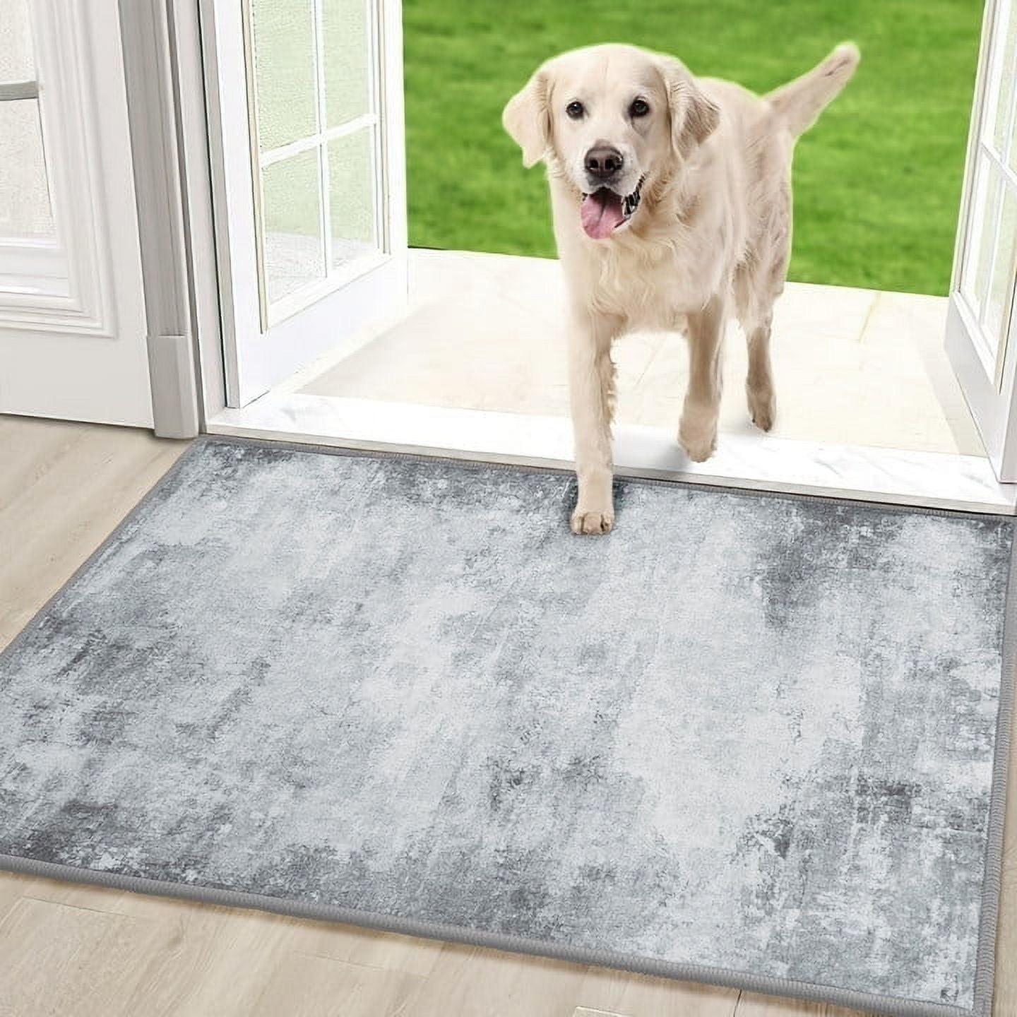 Coodeto 2'x3' Area Rugs for Entryway, Non Slip Soft Foldable Distressed ...