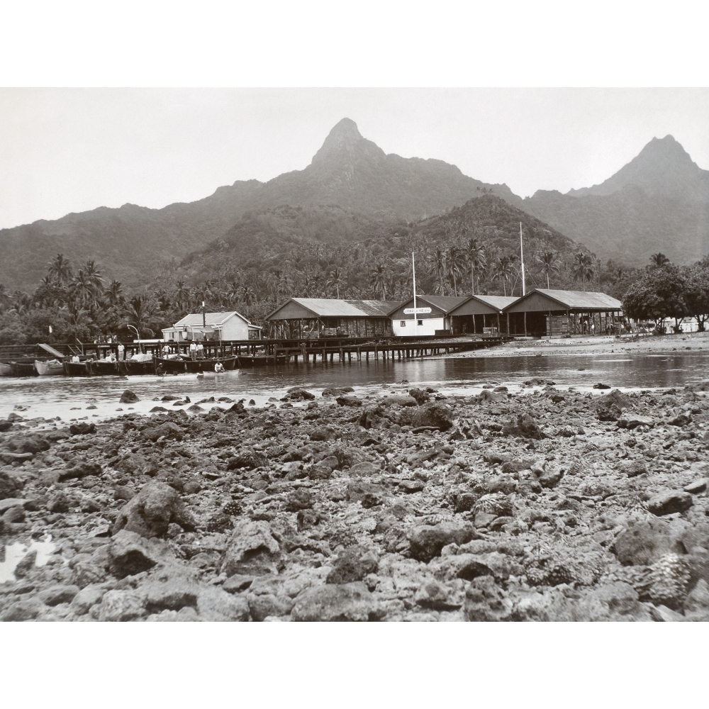 Cook Islands Rarotonga. Nthe Union Steam Ship Company Of New Zealand ...