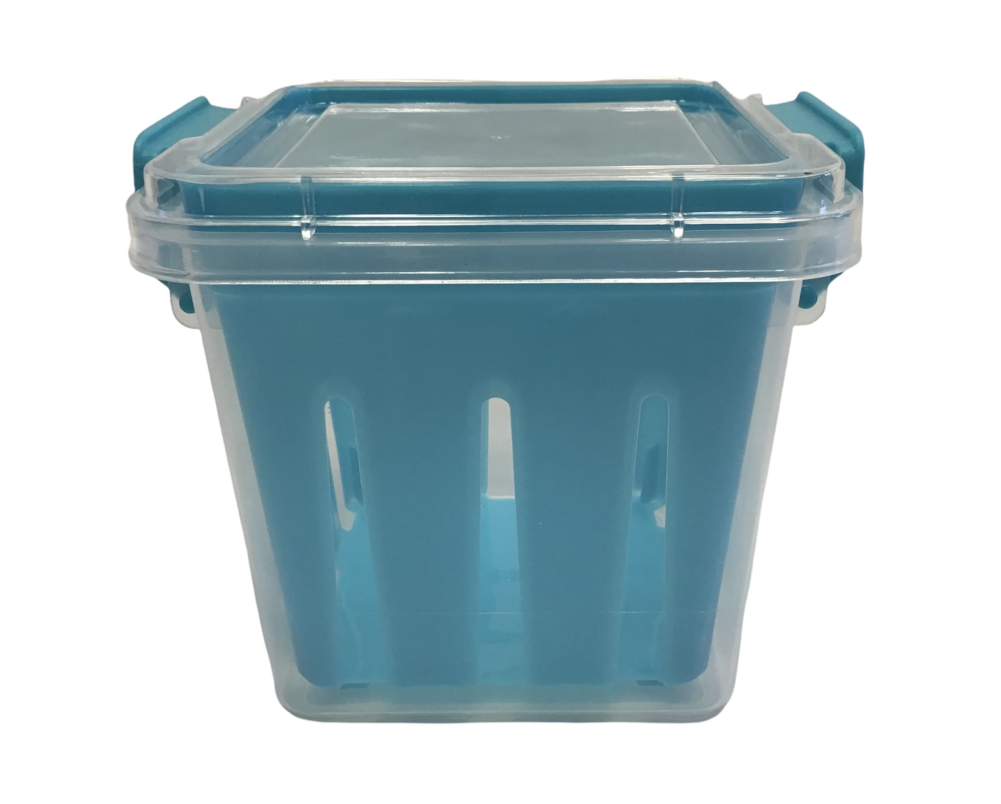 Cooking Concepts Veggie Storage Container, Reusable BPA Free, Fruit and ...