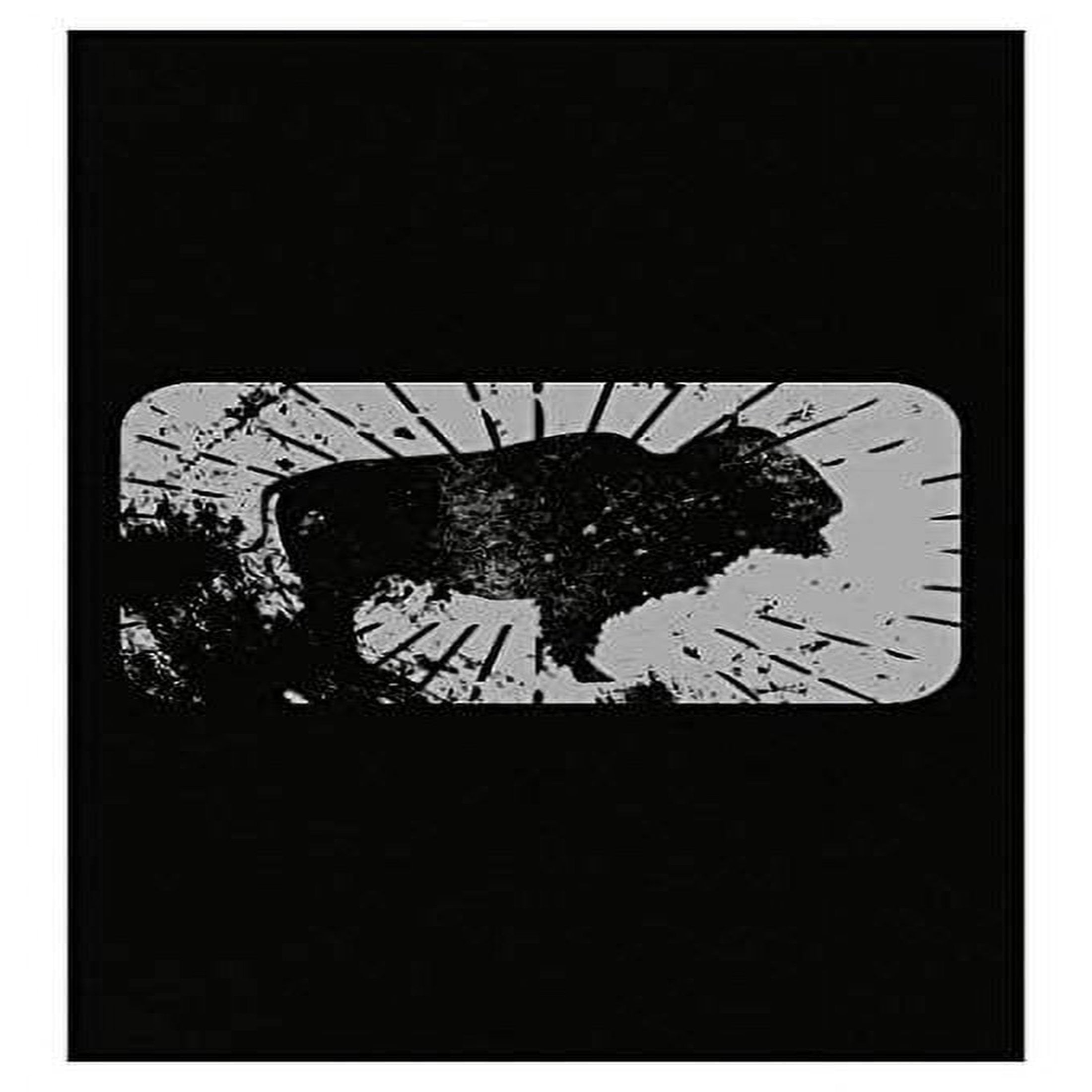 Cool Bison Poster - Wall Decor for Home or Office Gift - Walmart.com