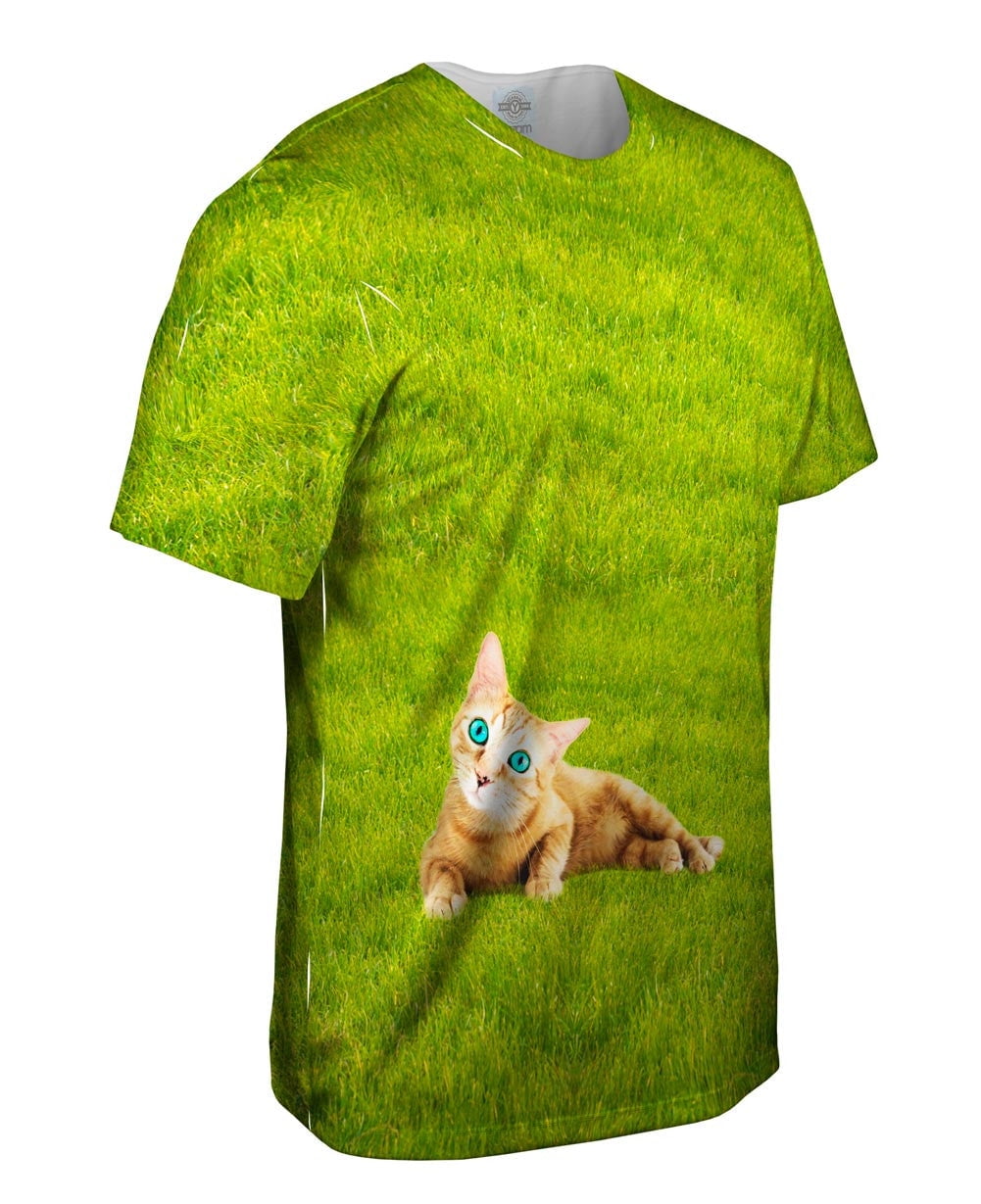 Cool Cat Bright Eyes Mens T-Shirt All Over Print - Walmart.com