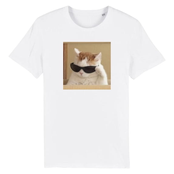 Cool Cat Wearing Sunglasses Shirt Chill Cat Photo Graphic Minimal Style ...