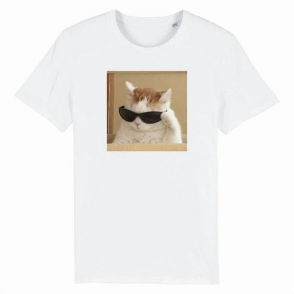 Cool Cat Wearing Sunglasses Shirt Chill Cat Photo Graphic Minimal Style ...