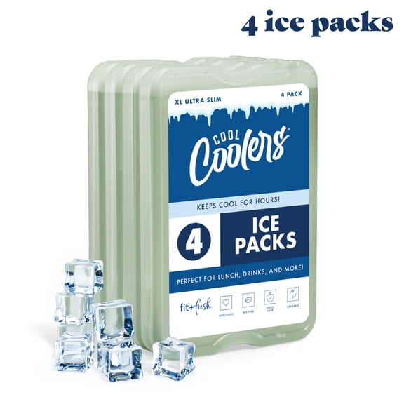 Fit + Fresh Slim Reusable Ice Packs, 4pk for Lunch Boxes & Coolers ...