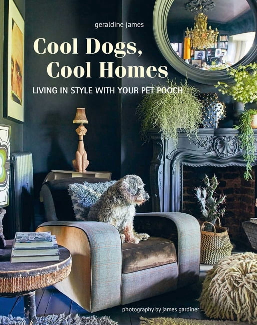 merfie homes with lefting pooch - Walmart Business