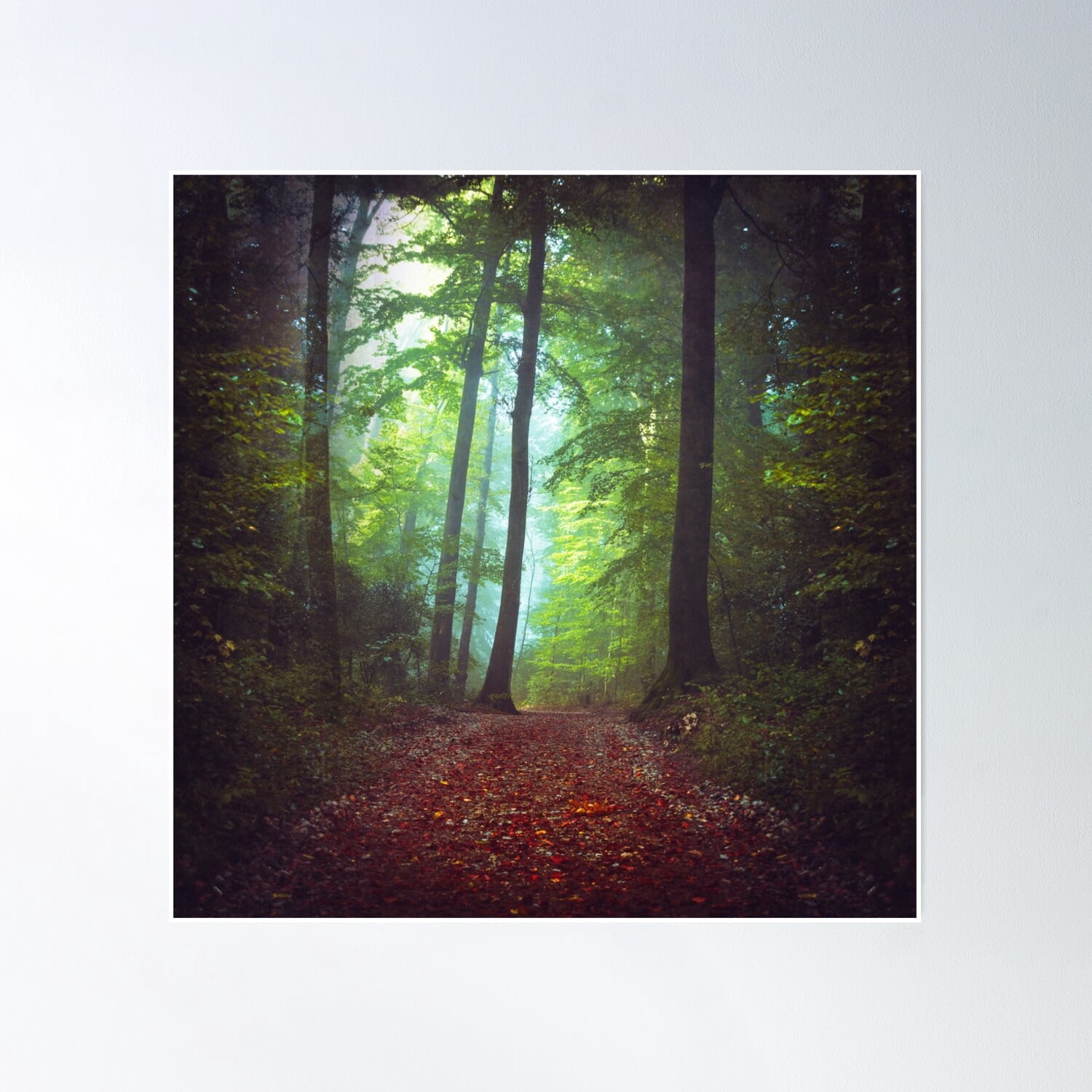 Cool Forest Poster Wall Art, Modern Wall Decor, 30x30 UNFRAMED ...