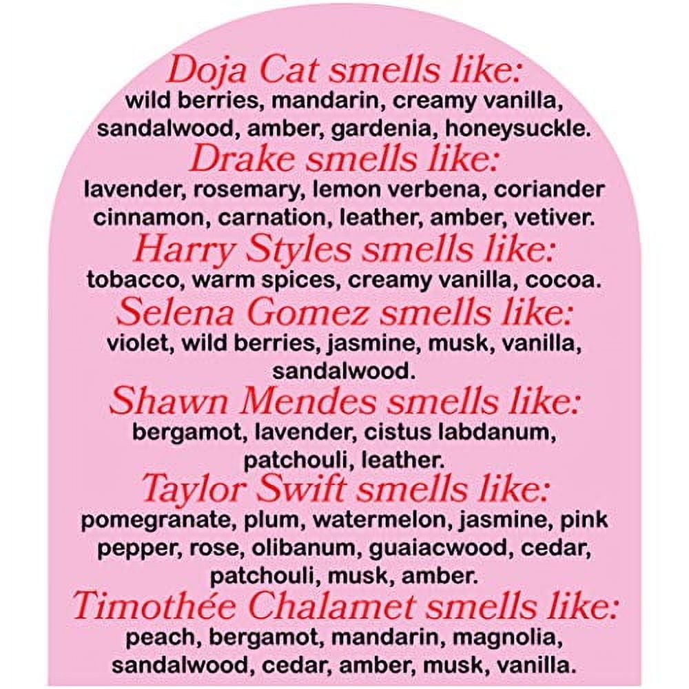 Cool Girl Candles | This Smells Like Pedro Pascal Candle | Pedro Pascal ...